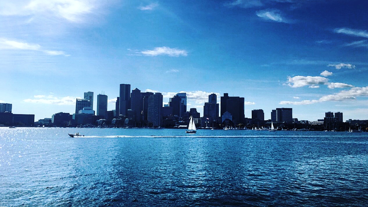 Julia Scanlon – This, That and The Other Things